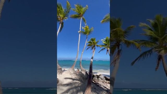 Пляжный отдых Доминиканская Республика #отпуск #пляж #путешествие #доминиканскаяреспублика