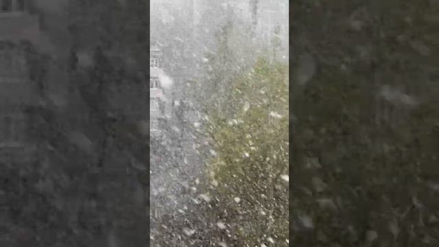 Питерская весна-2024