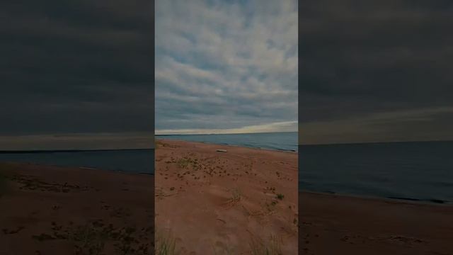 Дюны и берег Ладоги в устье Тулоксы, 09.06.23