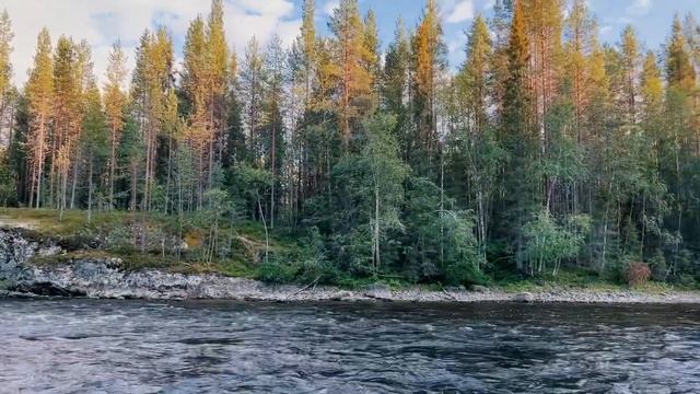 Север-2024. 01. Река Колвица.