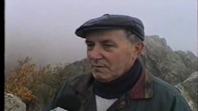 Цветы на Ай-Йори