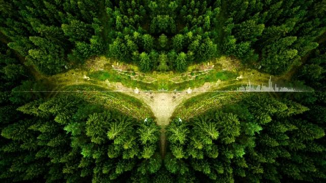 Отчеты и отходы: как я попала в эпицентр проверки