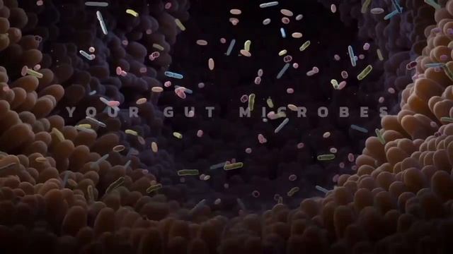 Как-остановить-выпадение волос и вновь отрастить волосы?🤔