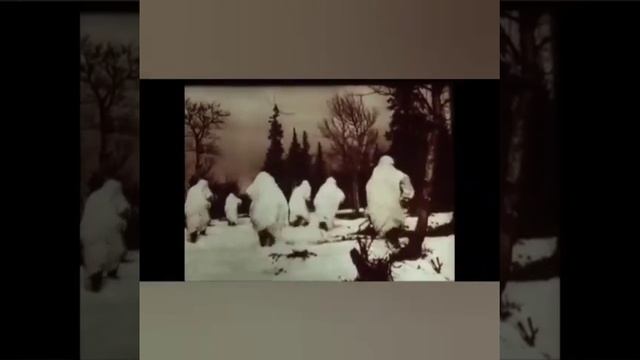 "Памятники погибшим солдатам при освобождении Андроповского района" Кузнецова Н.В.