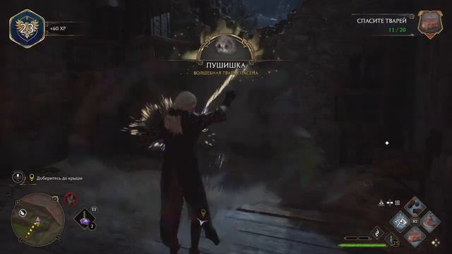 Hogwarts legacy: Гиппогриф;)