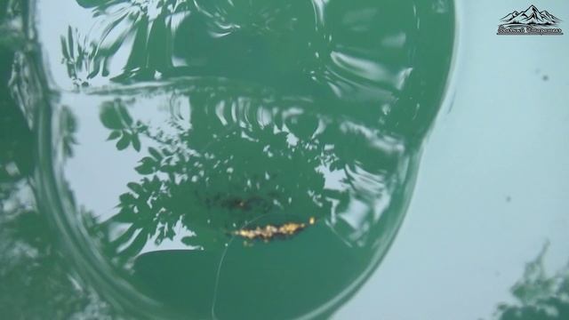 Золотой песок Золотой реки