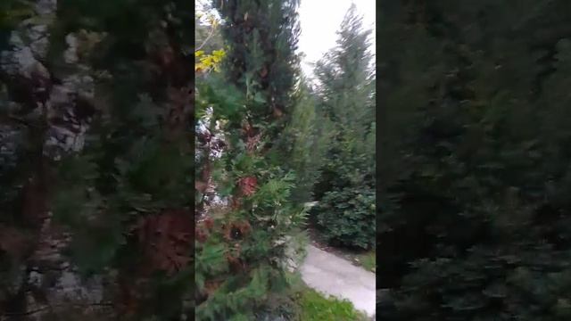 Инкерманский Свято-Климентовский пещерный монастырь