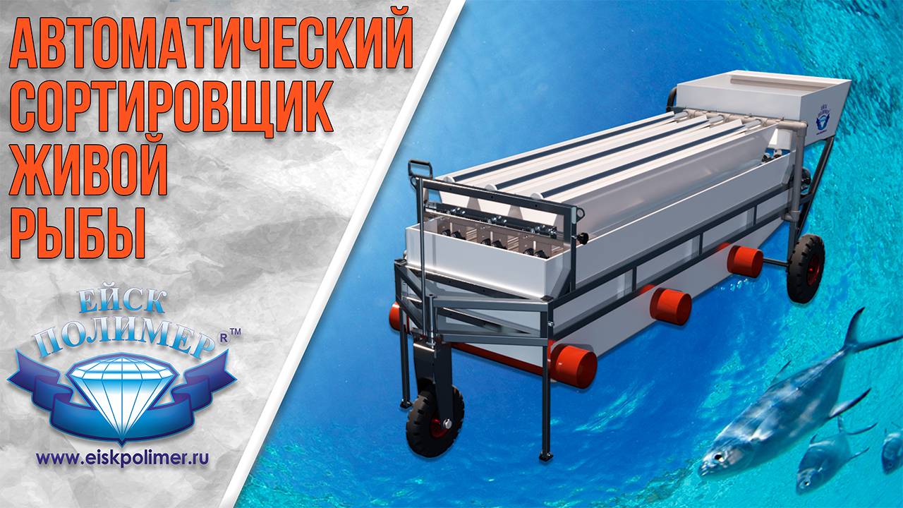 Принцип действия автоматического сортировщика рыбы РС-33А