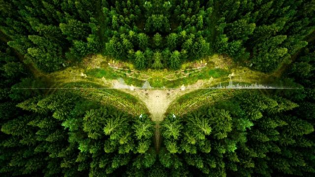 Зеленая карьера: Путь к экологическому призванию