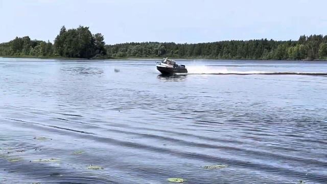 12 июня 2024 г.