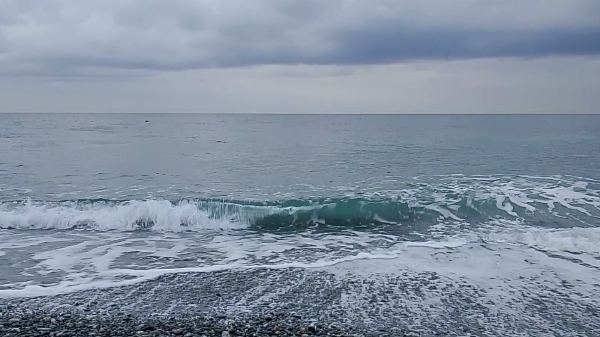 Она изгой. 2 #василисаголд #нарцисс #буллинг #сверхспособности #storytelling #изгой #calm #beast