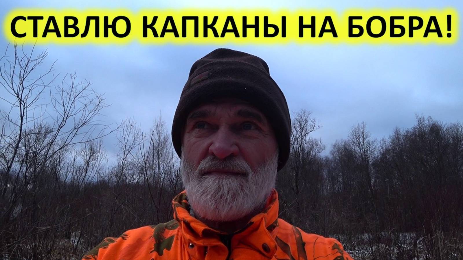 Осенняя охота на бобра с капканами. Устанавливаю капканы на бобров.