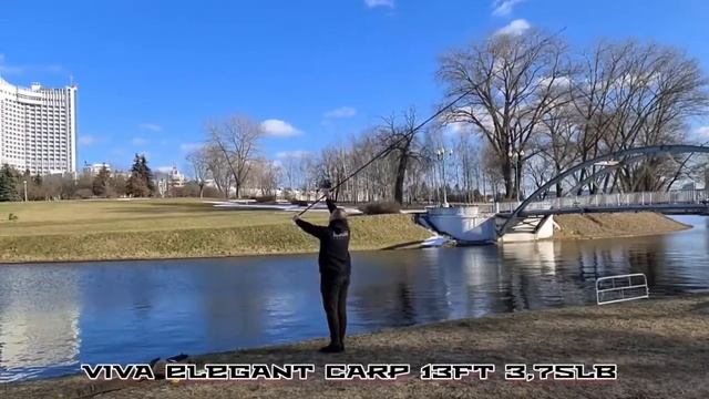 Сравнение  CENTURY C2D 13ft 3,75lb и ViVa Elegant Carp 13ft 3,75lb