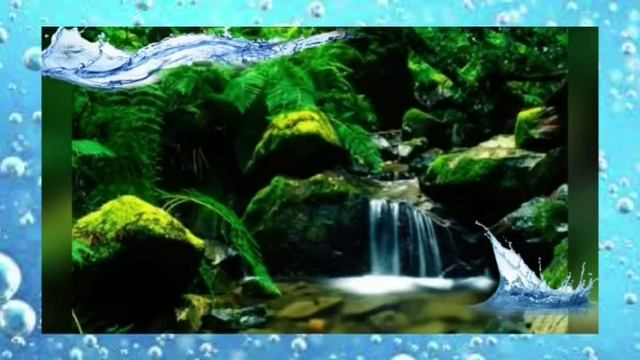 "Вода - чудесный дар природы".Свиридова О. И.