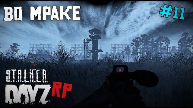 МРАЧНОЕ МЕСТО. DAYZ STALKER RP 11 серия (Перезалив MALAMADROS LIFE)