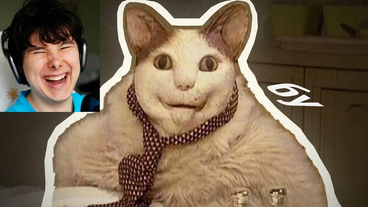 БУ ИСПУГАЛСЯ НЕ БОЙСЯ в КОНДИЦИИ + ГИПНОДЕНС — ОТКУДА МЕМ_