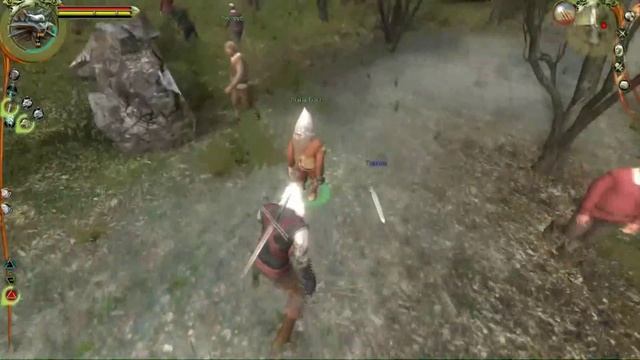 Прохождение Игры Ведьмак - Часть 13: Глава (II) - ДревоРУБЫ и Назад в Вызю!!!