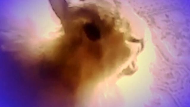 поем любимые песни