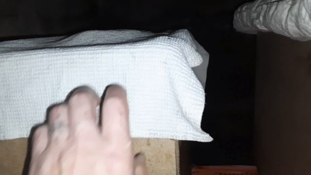 зимовка пчел в омшанике