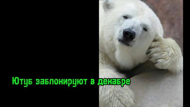 ЮТУБ ЗАБЛОКИРУЮТ В ДЕКАБРЕ!