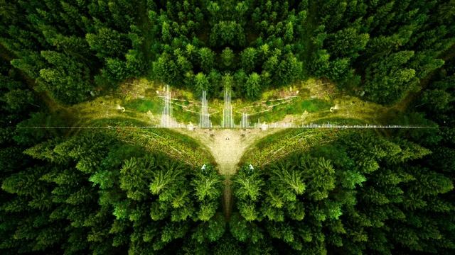 От МВД до экологии: Неожиданный поворот судьбы