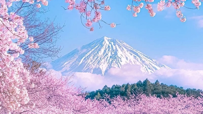 Райский Сад