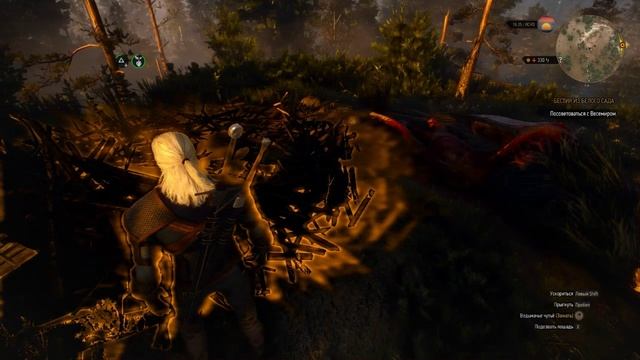 The Witcher 3 Wild Hunt Walkthrough Part № 12