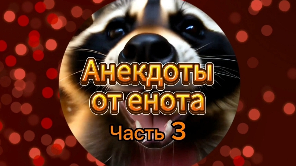 Анекдоты от енота. Часть 3: про мадам Рабинович, про льва, про племя людоедов, про гопников и другие