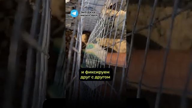 КЛАССНЫЙ СПОСОБ ЗАКРЫТЬ ПРОСТРАНСТВО ВНИЗУ ЗАБОРА