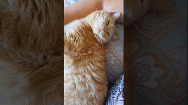 Наслаждаемся жизнью!