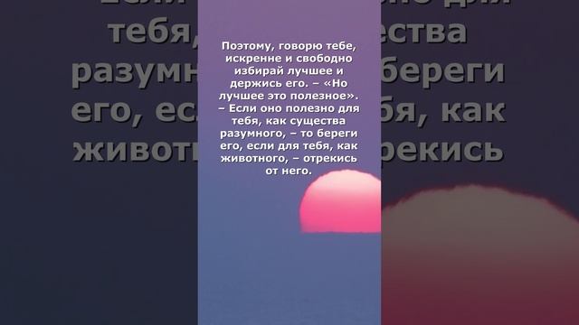 Марк Аврелий. Наедине с собой. Цитаты. #мудрость #философия #книги #цитаты #МаркАврелий #shorts