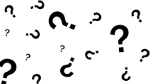 Топ 3 секретки в игре про медведя