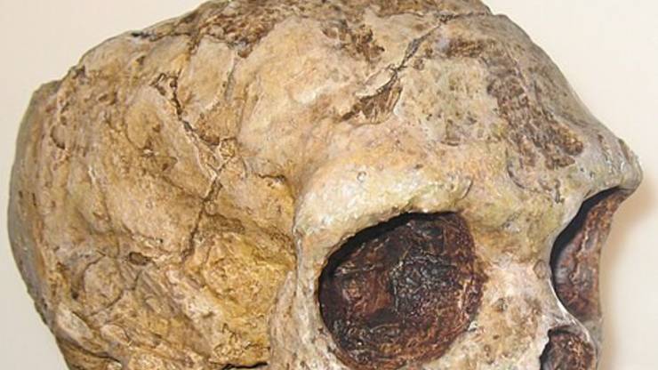 #29 Человечество в эпоху палеолита. Часть 12. Повседневная жизнь неандертальцев. Добывание огня