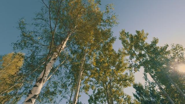 Сентябрь 2024, Maxi Life на Возрождения, 2 и 3 дома, Вологда