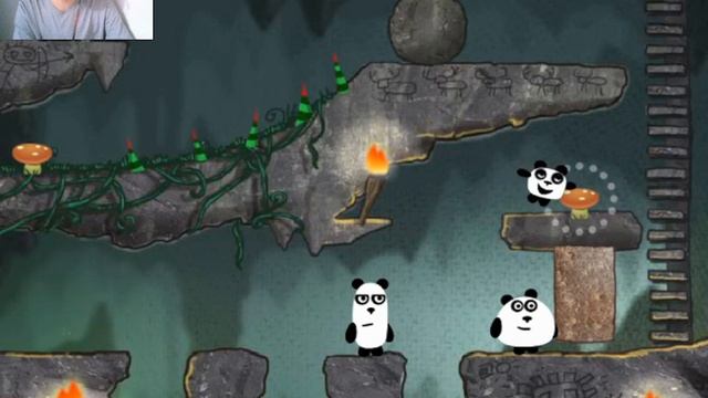 Ночные уПанды▸3 Pandas #2