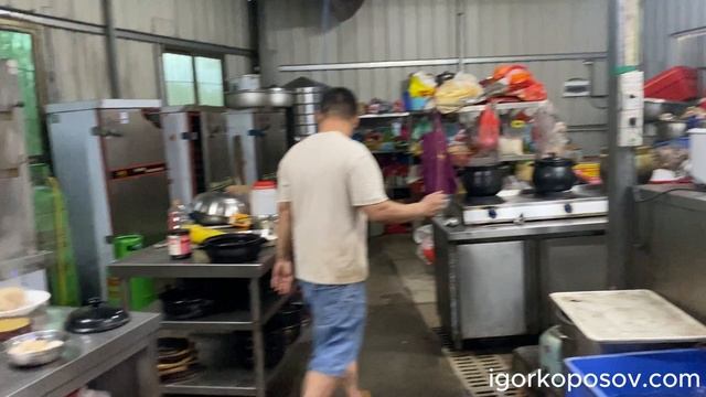 Дунгуань #1 Dongguan 11.2024 Парк рисовых полей в 金色水乡稻田公园. Dongguan. Деревенский ресторан