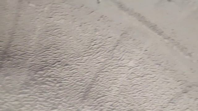 Большие сайлентблоки задних рычагов Nissan Wingroad WHNY11 4wd