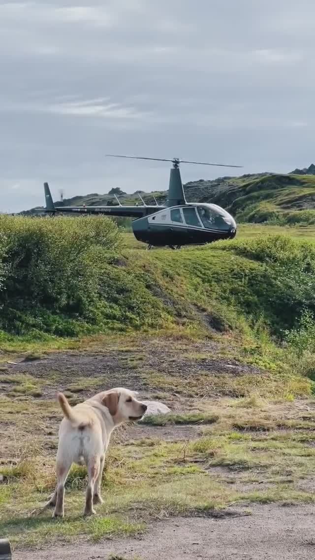 Север-2023. п-ов Рыбачий, Скорбеевская губа, вертолеты