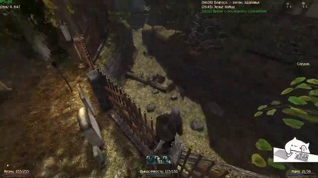 Готика 2 Новый Баланс Дорога испытаний+Гнев белиара | 2