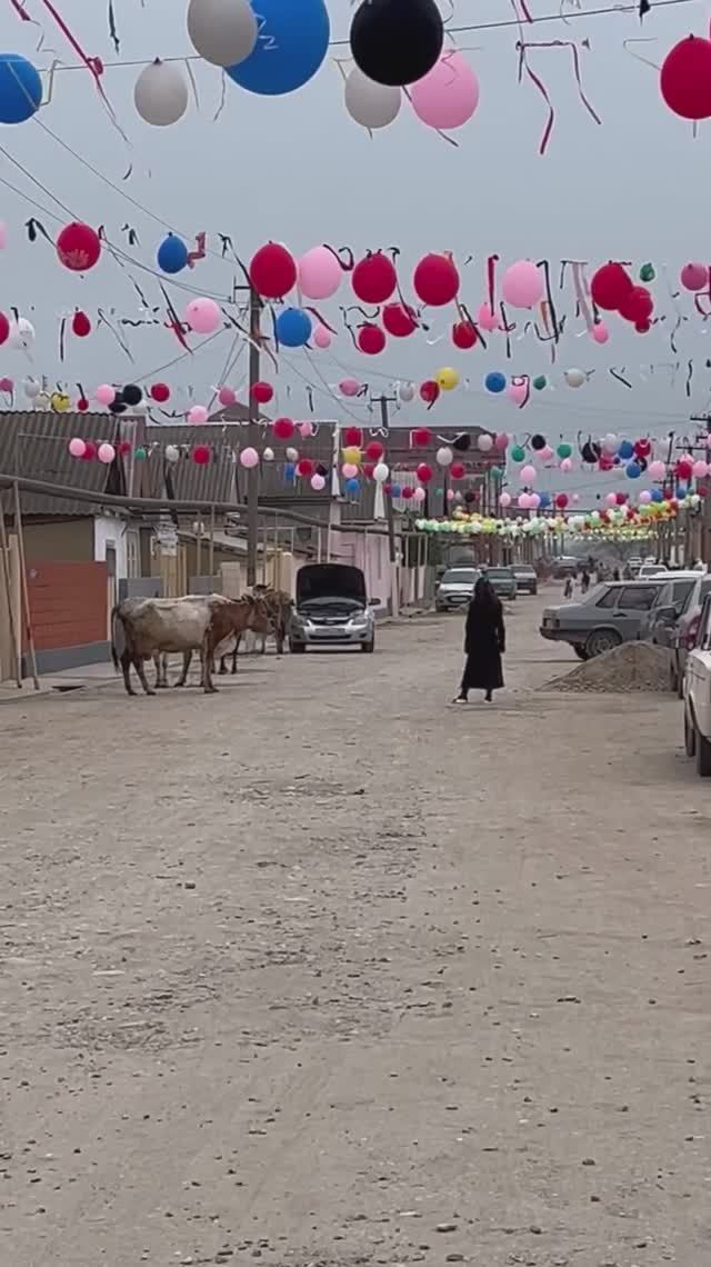 Отпуск по КАВКАЗУ. Дагестан, Чечня!