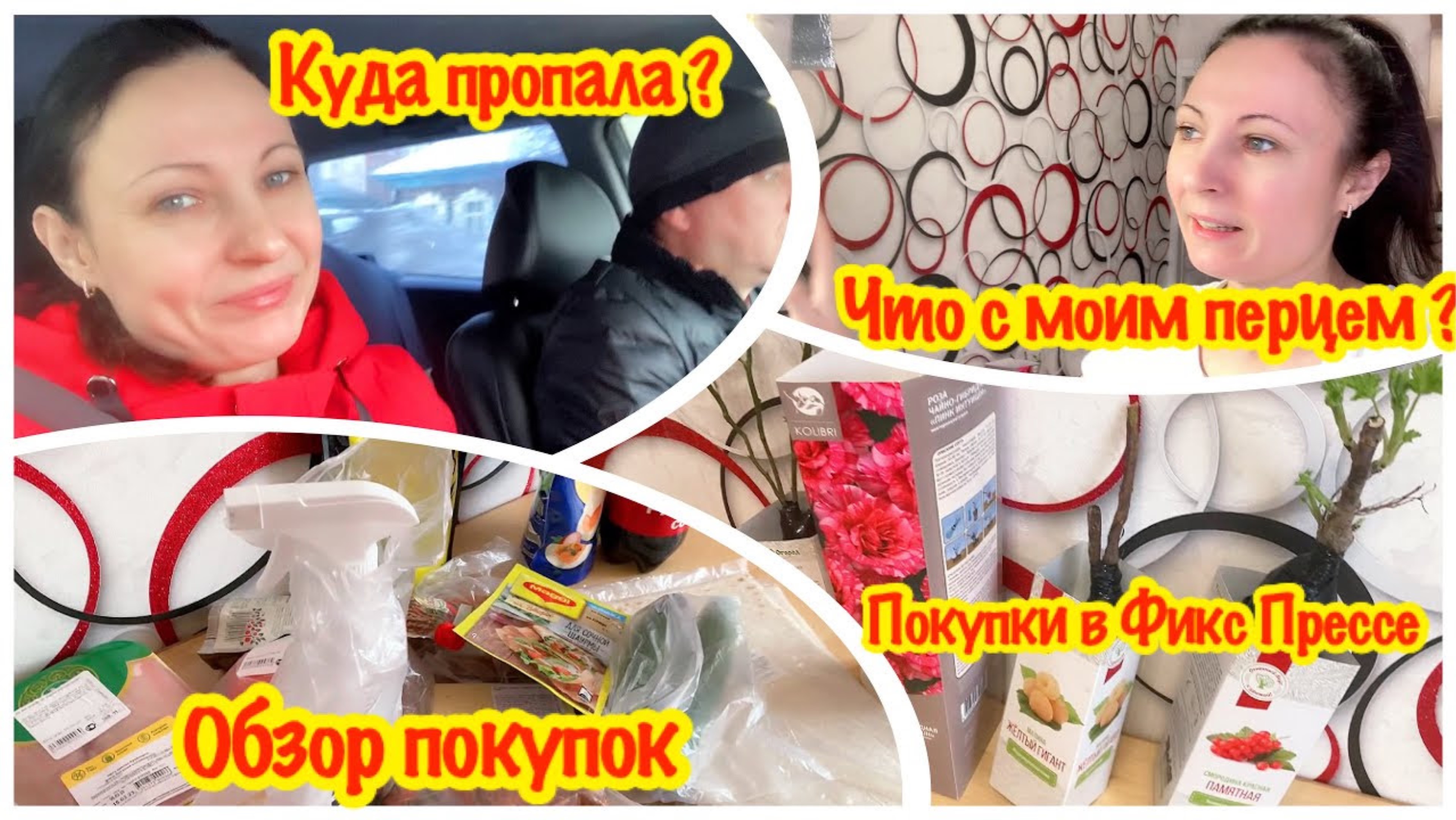 ВИТАЛЯ ЗАБРАЛ МЕНЯ С РАБОТЫ/НАШ СУББОТНИЙ ДЕНЬ/ЧТО С МОЕЙ РАССАДОЙ?/ОБЗОР ПОКУПОК В ФИКС ПРАЙСЕ/