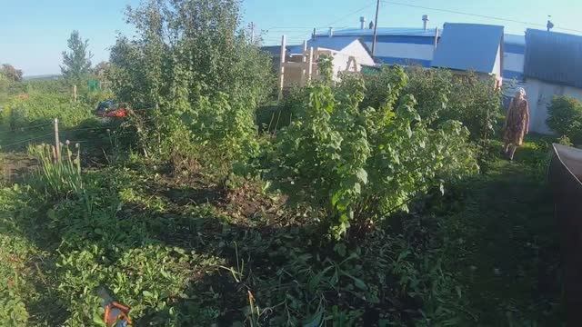 Работа на приусадебном участке Лето 2022 год.