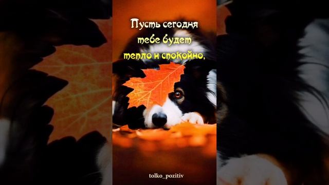 С добрым утром!