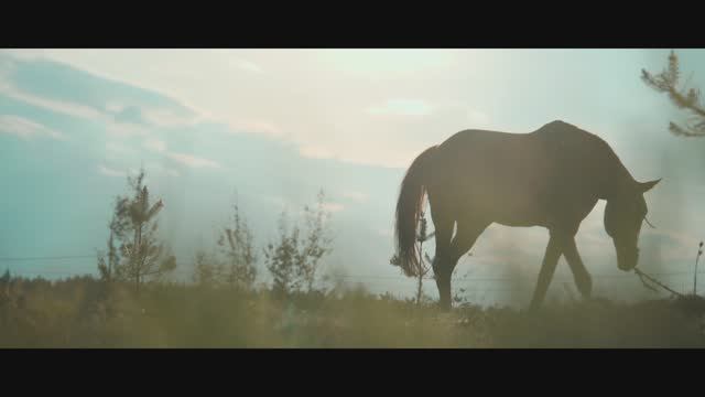 июнь 2022 лёля