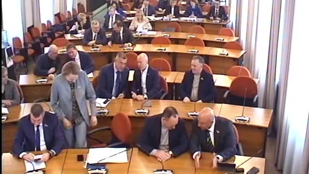 Заседание постоянного комитета по бюджету, налогам и финансам 20.11.2024