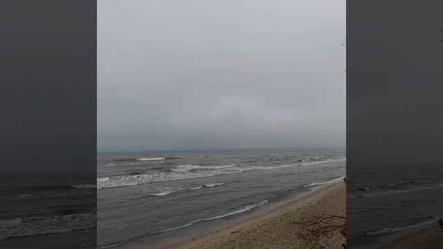 Калининградская обл. Зеленоградск часть 4 сентябрь 2024