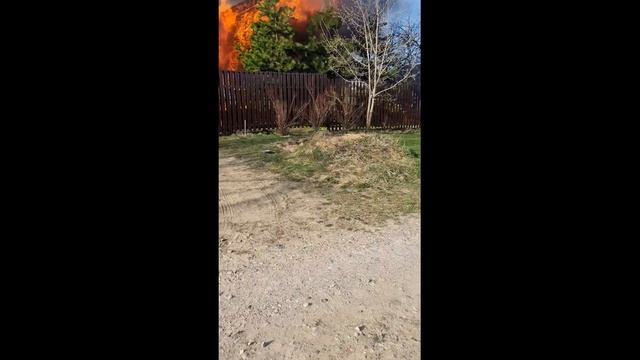 Феникс Пролог. Дом из профилированного бруса