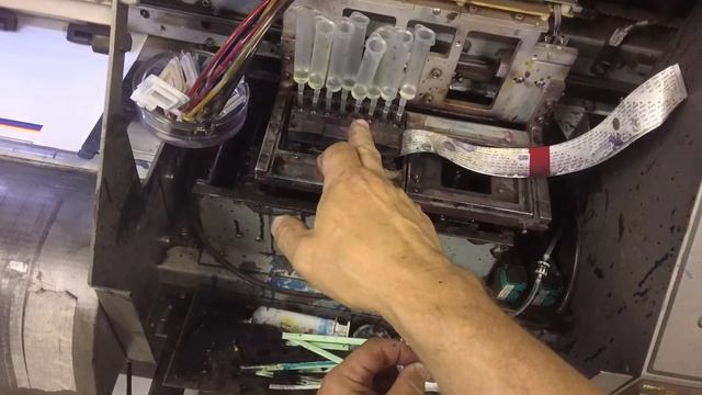 консервация головы и плотера на короткий срок