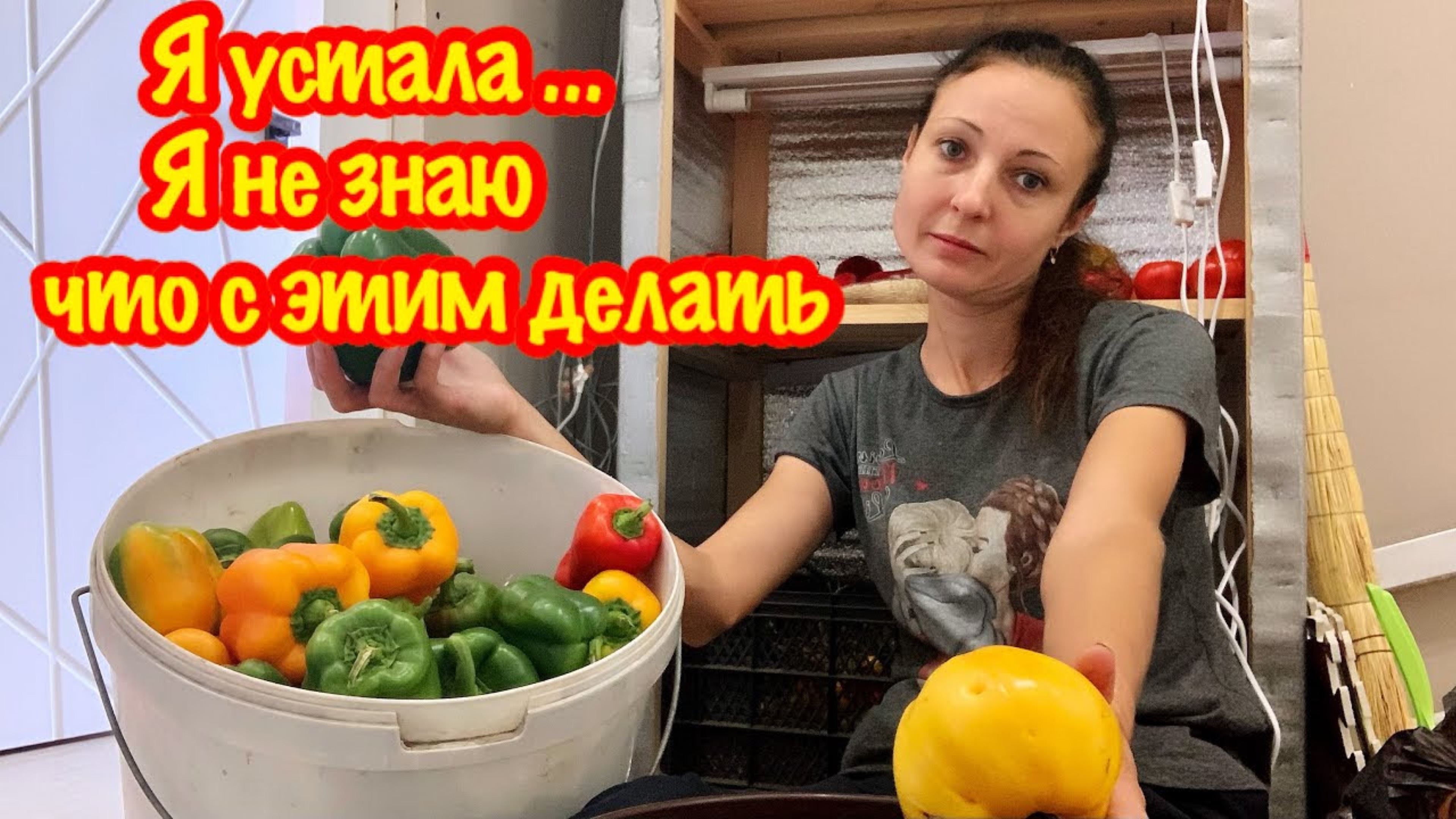 НУ, ВСЕ … ПОРА НА ПОКОЙ/Я УСТАЛА…СГОРЕЛА ОТ РАБОТЫ/ПОСЛЕДНИЕ ЗАГОТОВКИ НА ЗИМУ