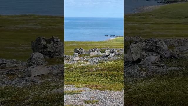 Север-2023. п-ов Рыбачий, Скорбеевская губа